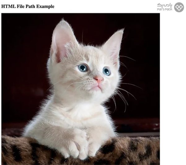 آدرس دهی به فایل در HTML به‌صورت نسبی و مطلق (راهنمای جامع)